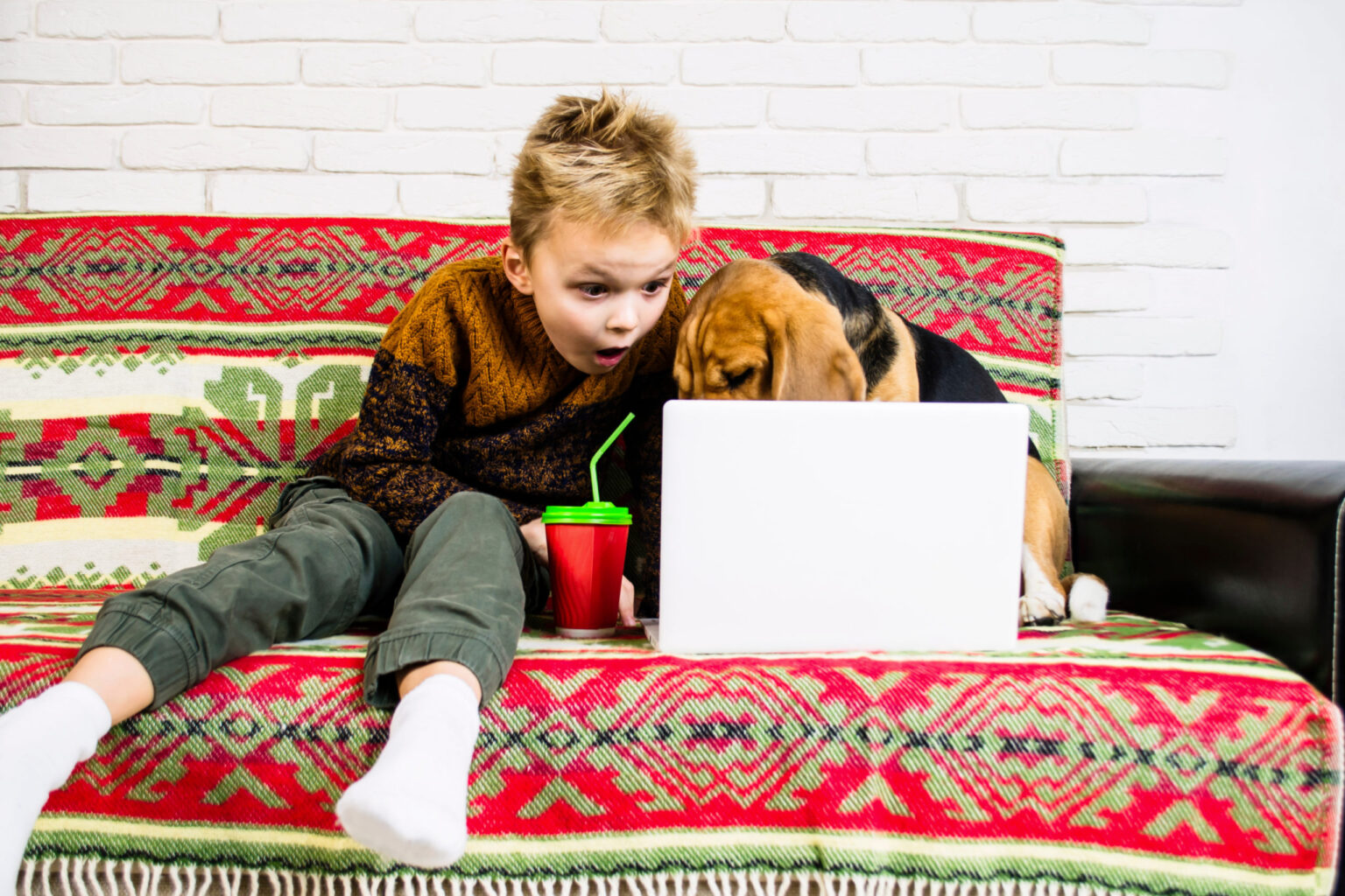 AI expert: Stop Distinguishing Between AI, Human and Animal… – Ripon ...